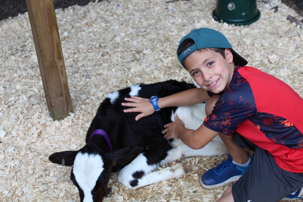 Dates & Rates – CAMP MOSHAVA I.O.